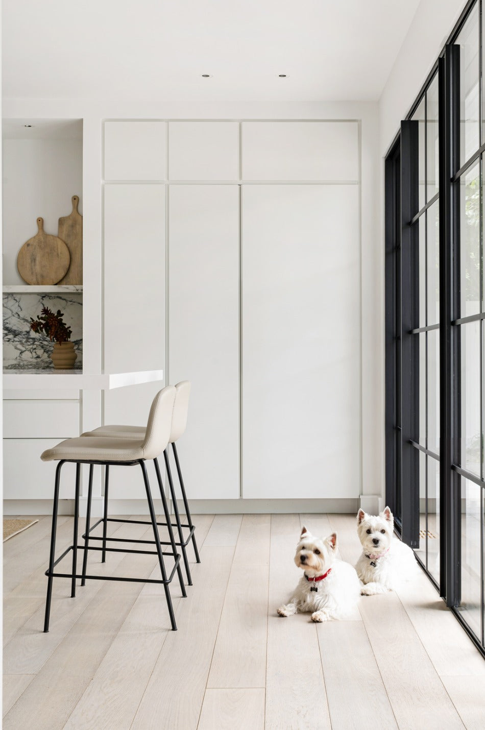 Interiors — CALLA CANE